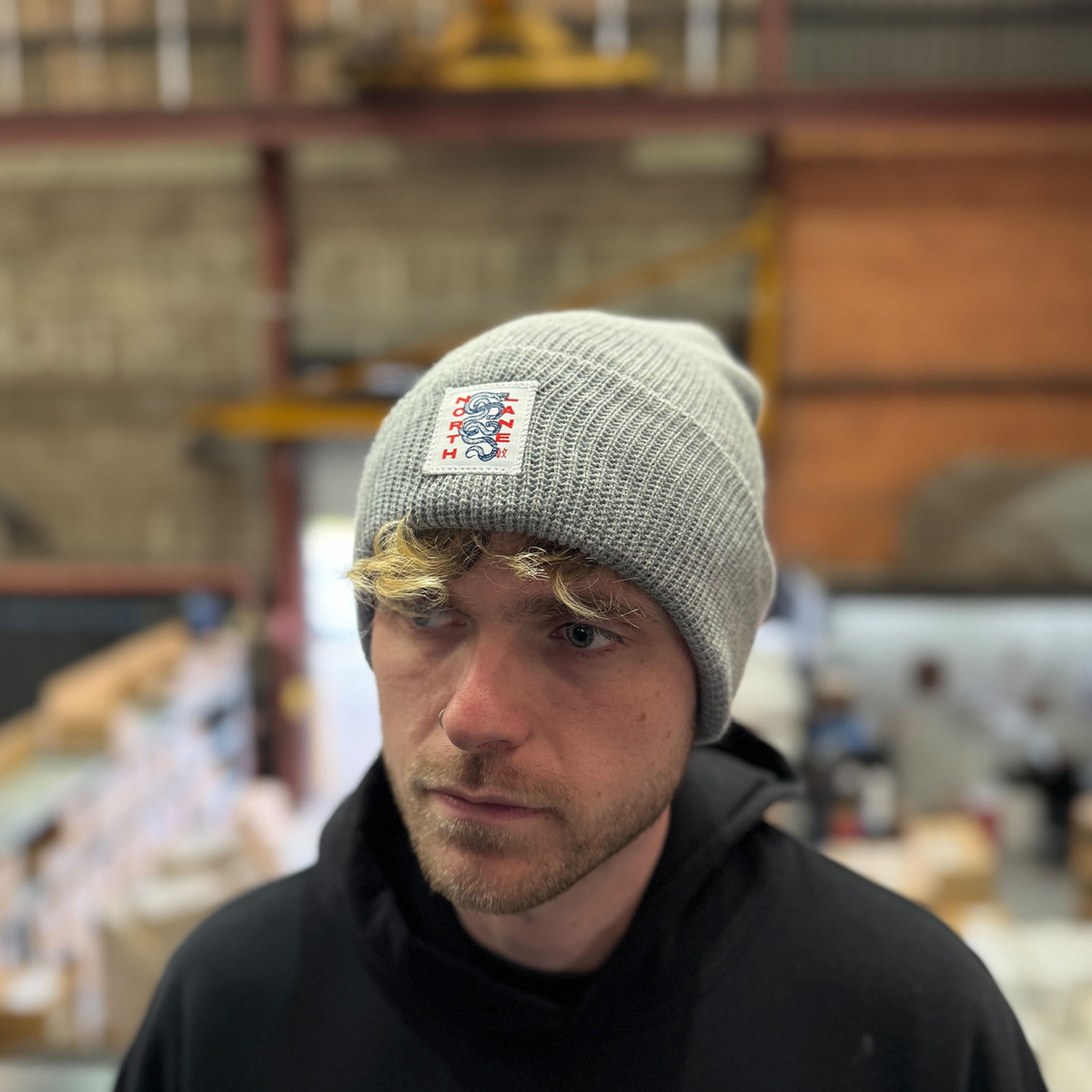 Northlane "Snake" Beanie – Imprint Merch